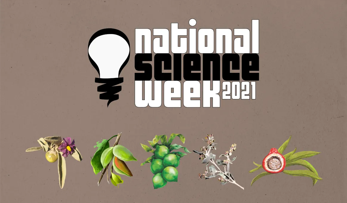 National Science Week 2021 Indigenous 7561